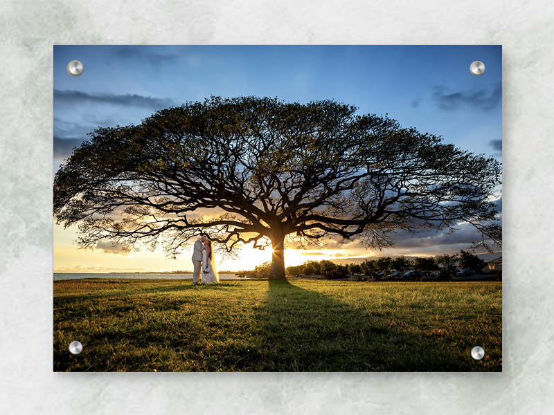 Metallic Prints: What They Are and Why They’re So Special - LifeSlice ...